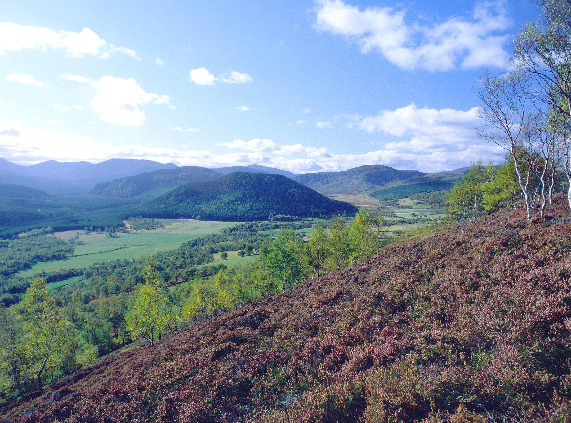Roam for miles across grand highland estates of Deeside