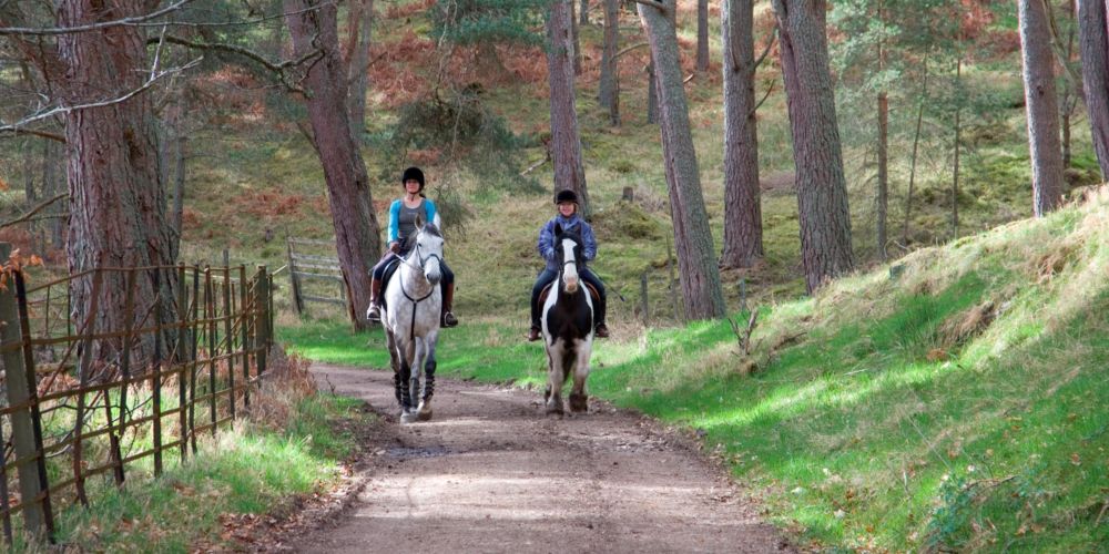Explore Glen Tanar by foot, by bike, or on horseback